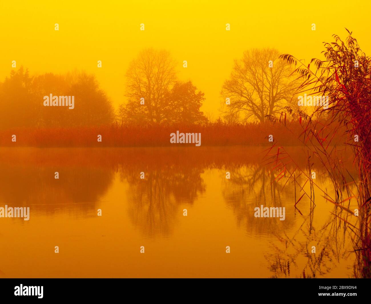 Orange mood hi-res stock photography and images - Alamy