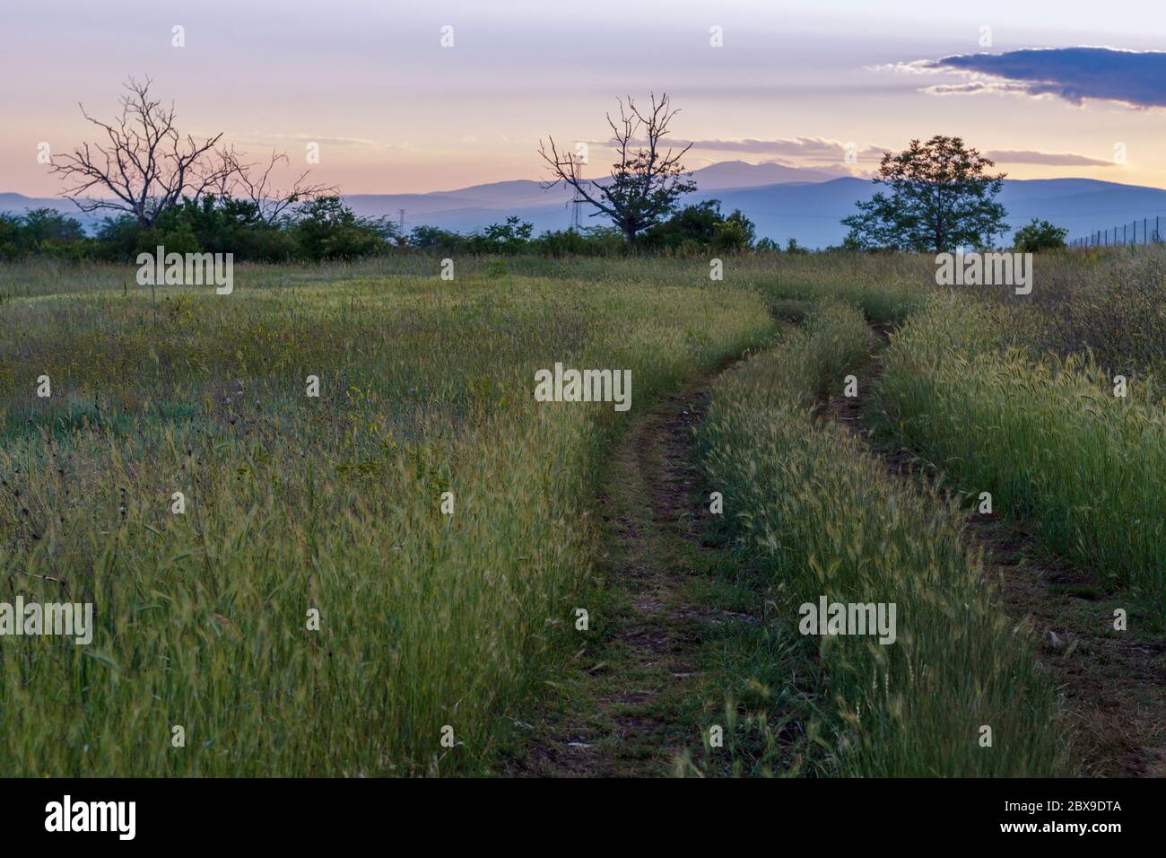 Dirt Road Turning to The Left Stock Photo - Alamy