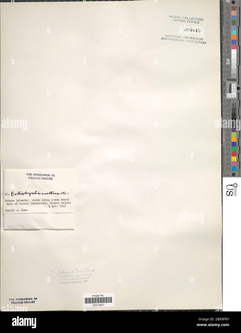 Fleshy growth hi-res stock photography and images - Alamy