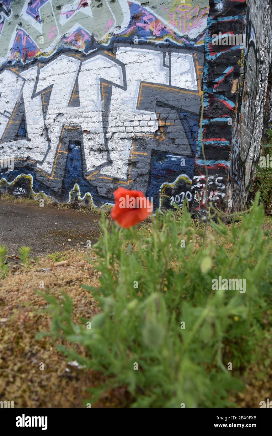 Urban graffiti street hi-res stock photography and images - Alamy