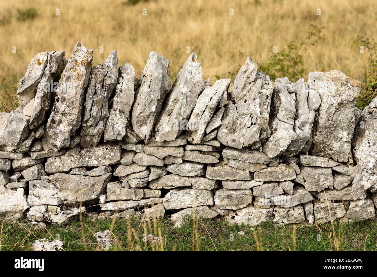 European Stone Fences