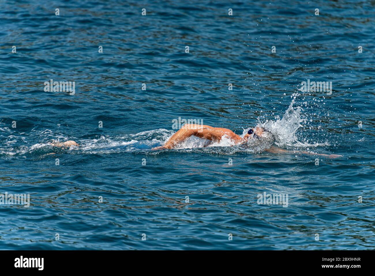Swimmer front crawl hi-res stock photography and images - Alamy
