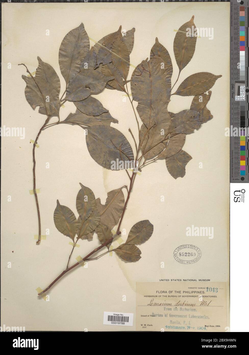 Mabb hi-res stock photography and images - Alamy