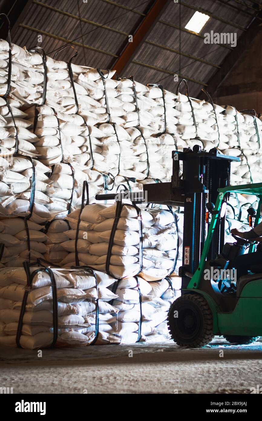 Forklift carries jumbo bag of refine white sugar to put on the stack ...
