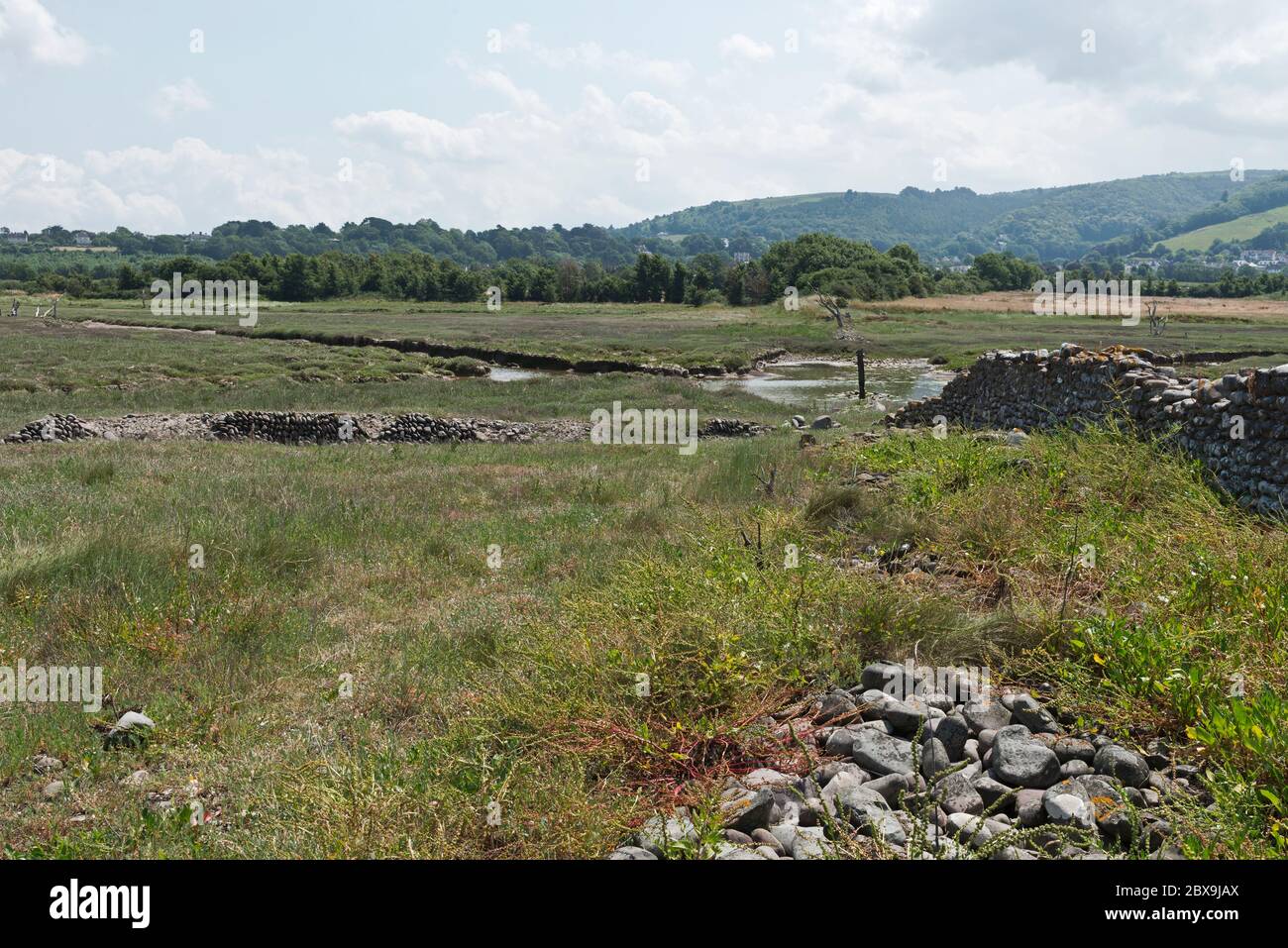 Old stone walls in the Salt Marshes in Porlock Bay. Part of the South ...