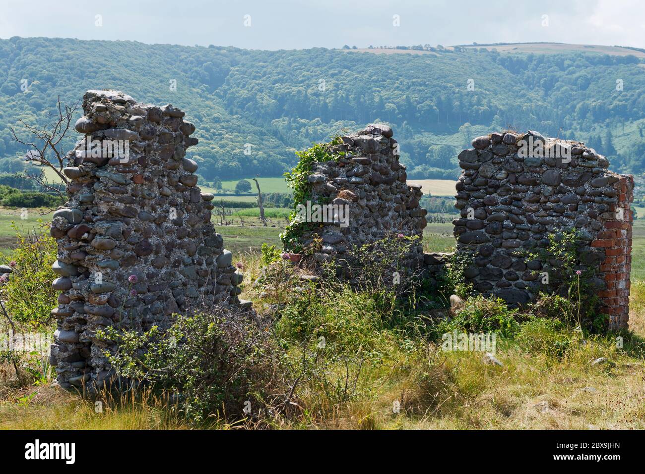 Old stone walls in the Salt Marshes in Porlock Bay. Part of the South ...