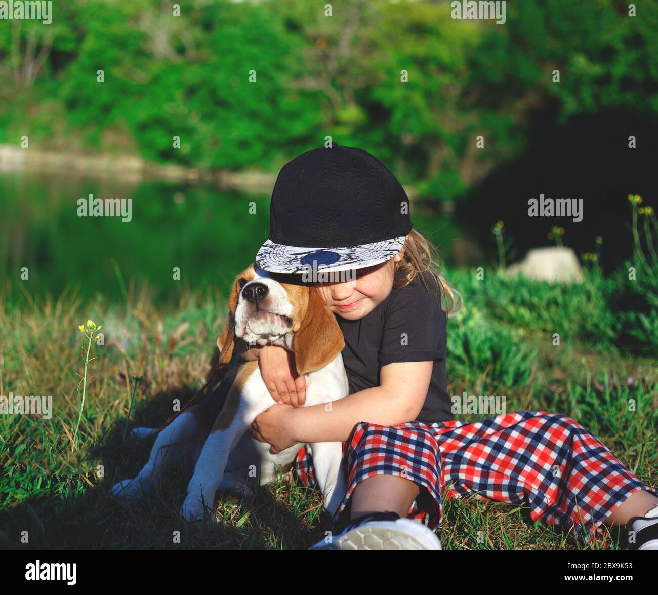 little girl hugs a cute beagle puppy Stock Photo - Alamy