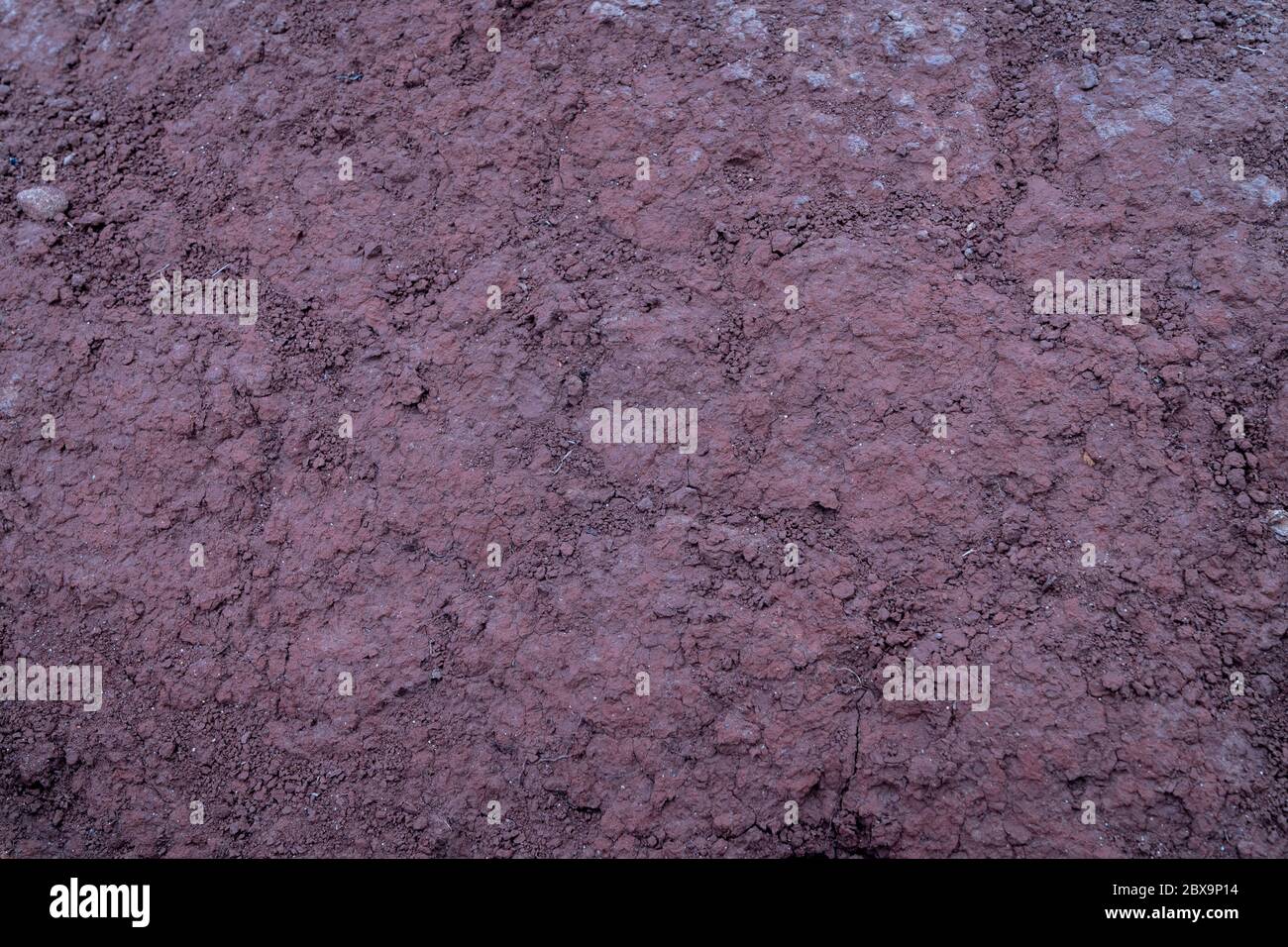 Black clay soil hi-res stock photography and images - Alamy
