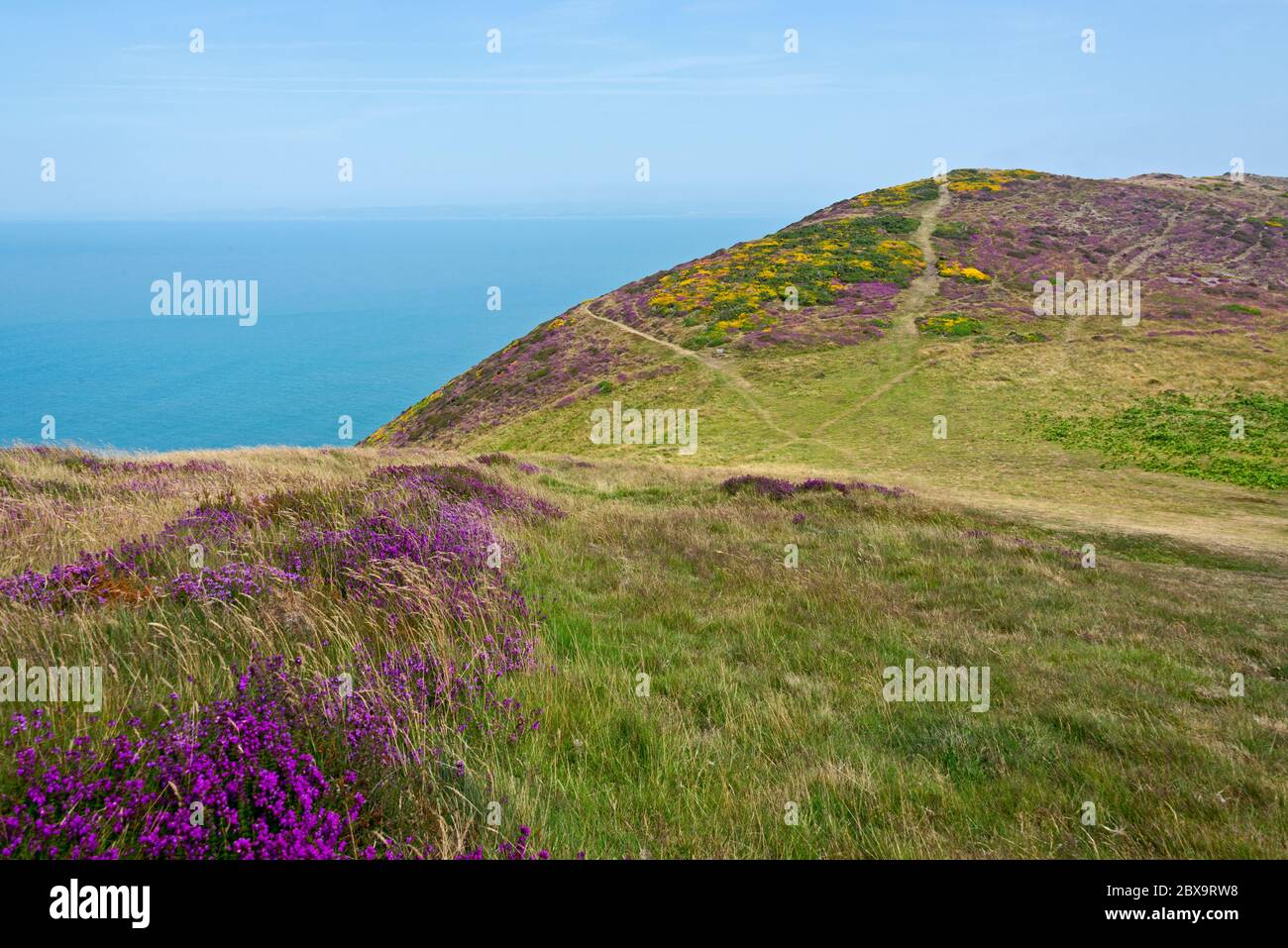 view across Butter Hill toward Foreland Point on the North Devon Coast ...