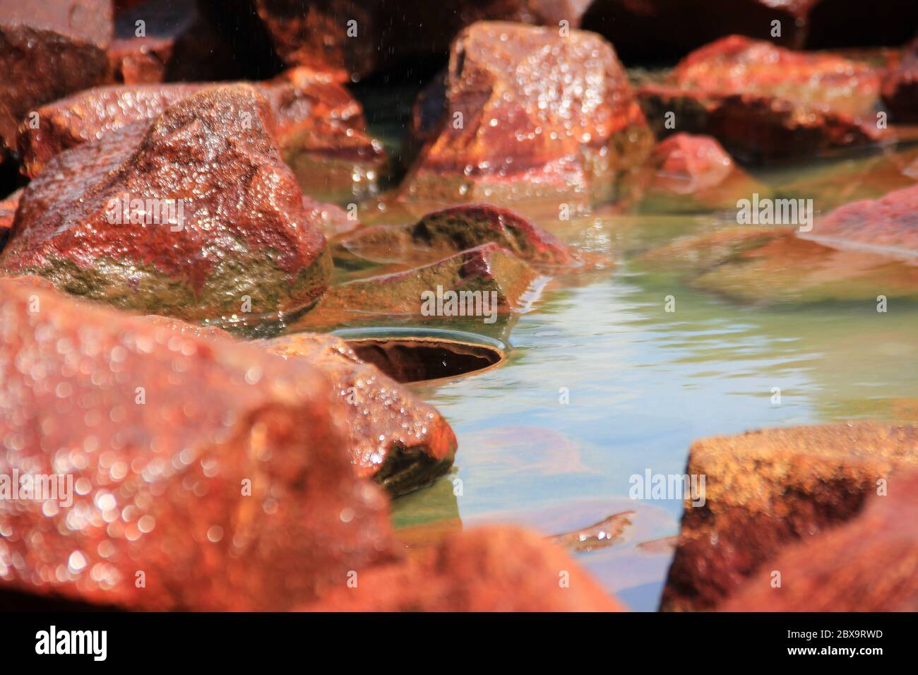 The Andernach Geyser in Germany Stock Photo - Alamy