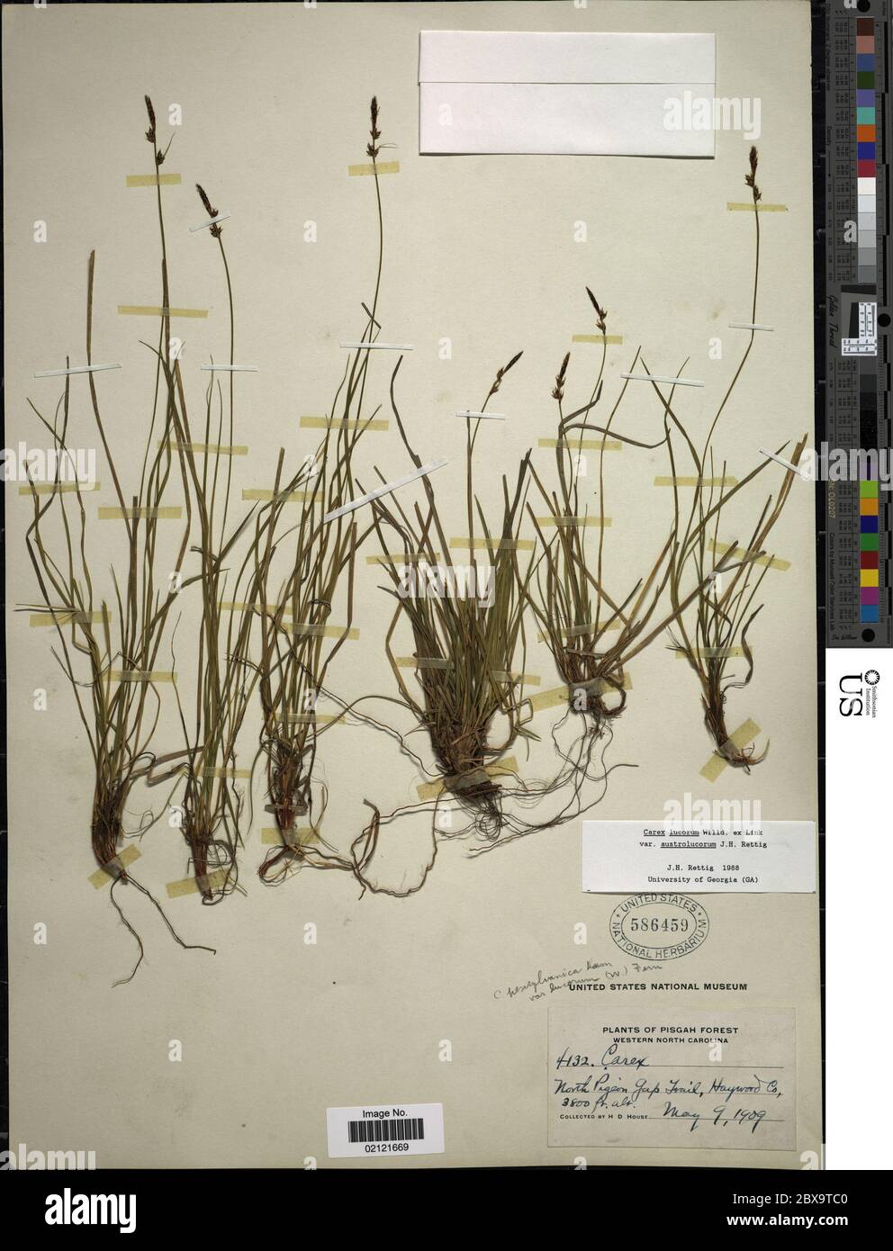 Rettig hi-res stock photography and images - Alamy