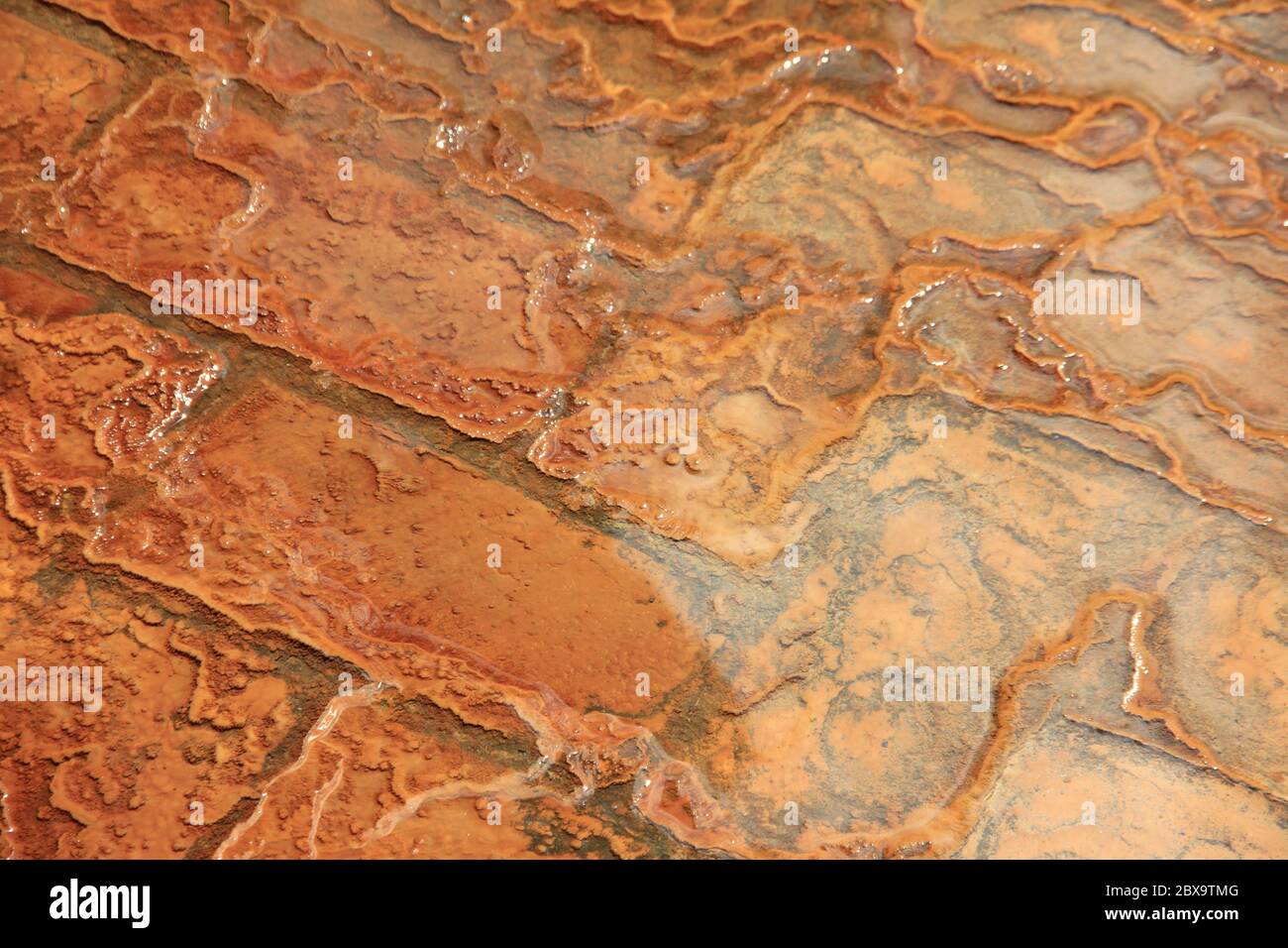 The Andernach Geyser in Germany Stock Photo - Alamy