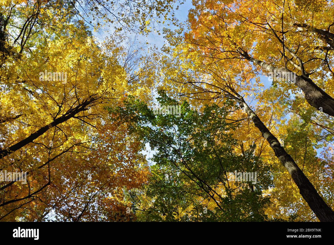 Tilt up wide landscape shot hi-res stock photography and images - Alamy