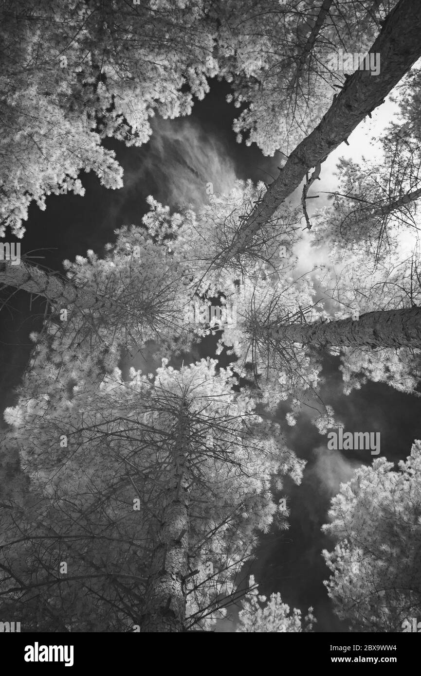 Infrared photography hi-res stock photography and images - Alamy