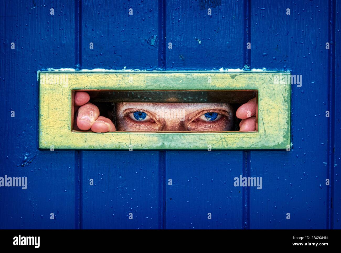 Lock eyes with hi-res stock photography and images - Alamy