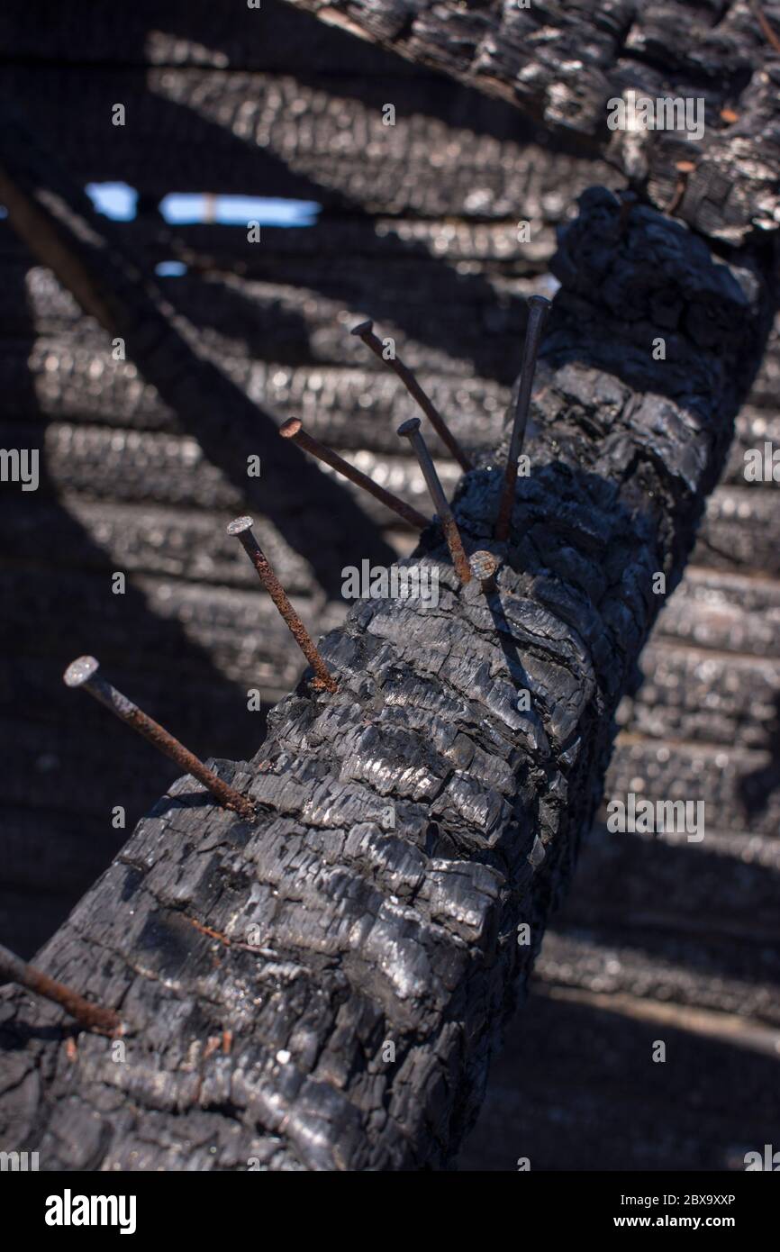 Natural fire ashes with dark grey black coals texture. It is a ...