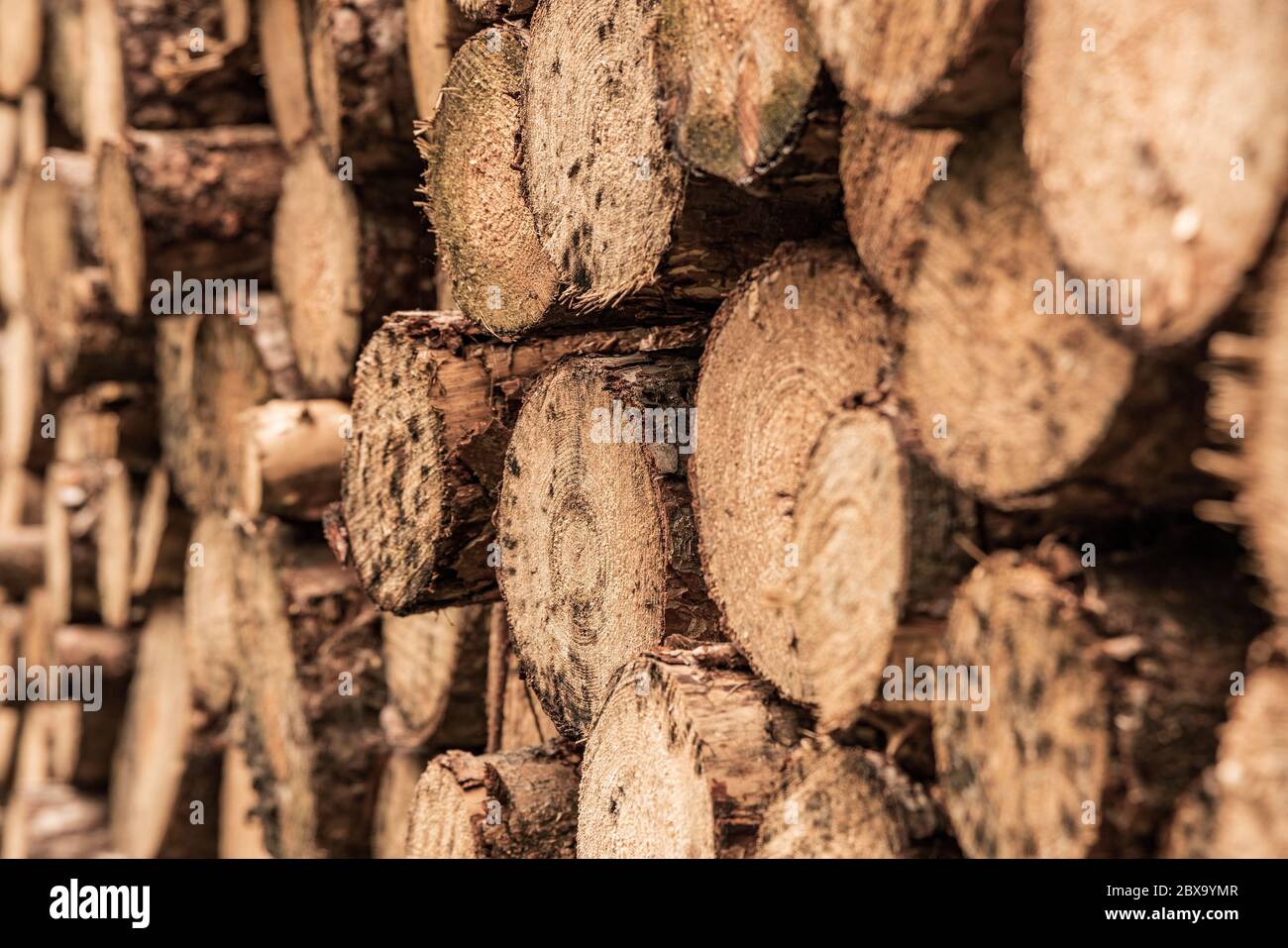 Sawn Timber Stacked Stock Photo - Alamy