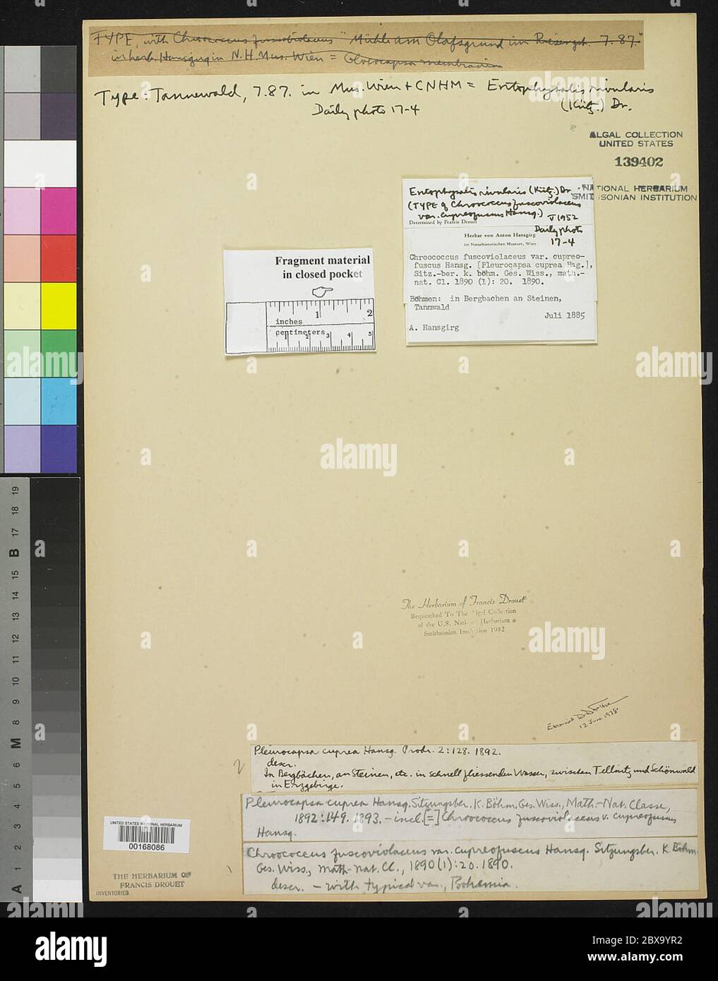 Chroococcus hi-res stock photography and images - Alamy