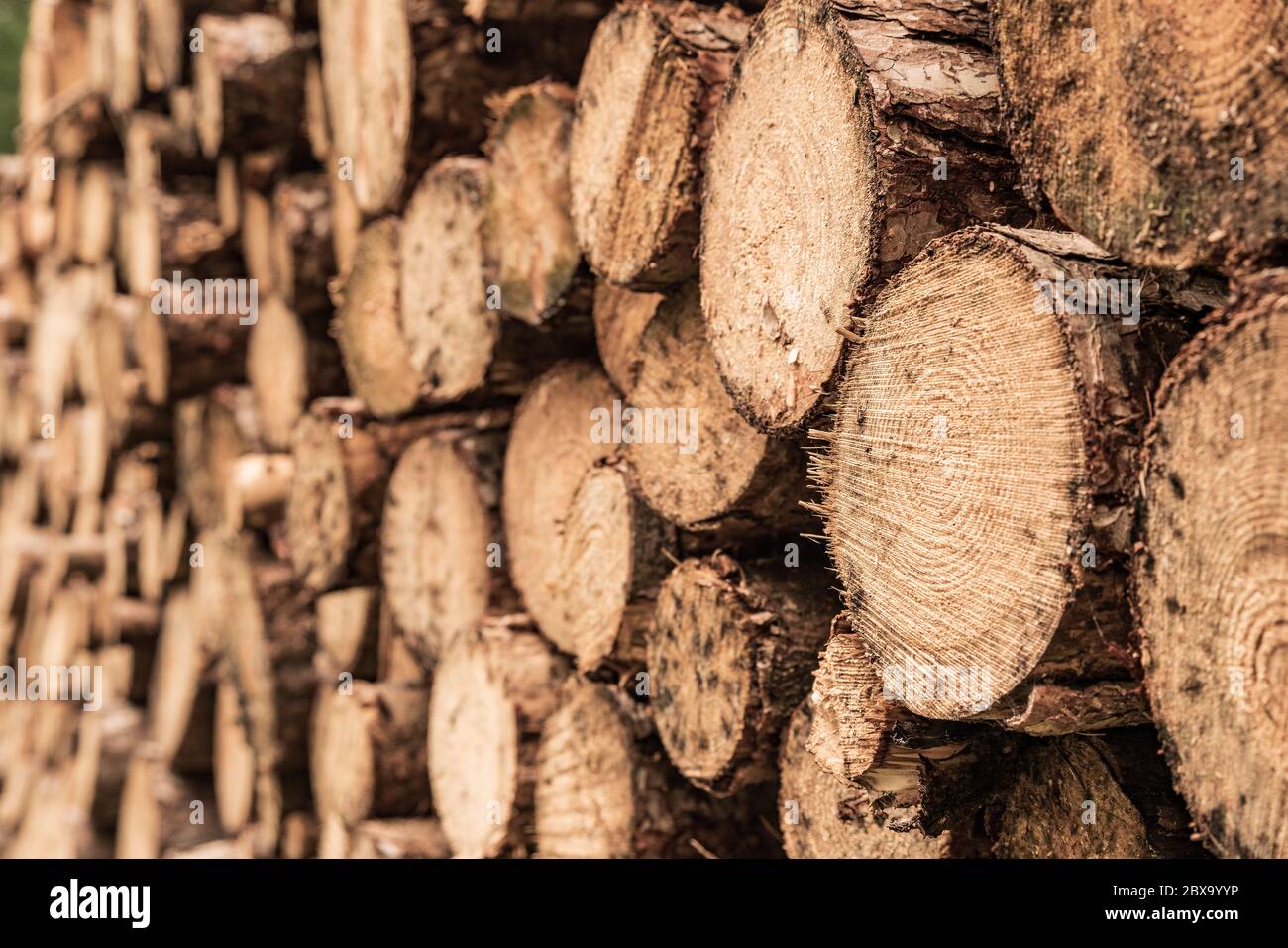 Sawn Timber Stacked Stock Photo - Alamy