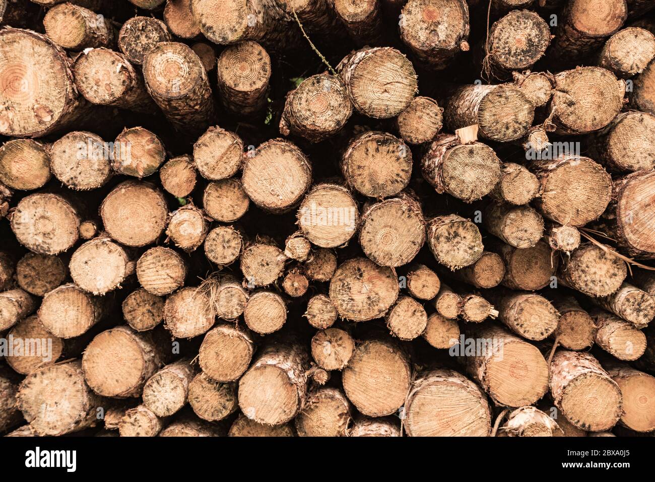 Stacked wood timber construction background hi-res stock photography ...