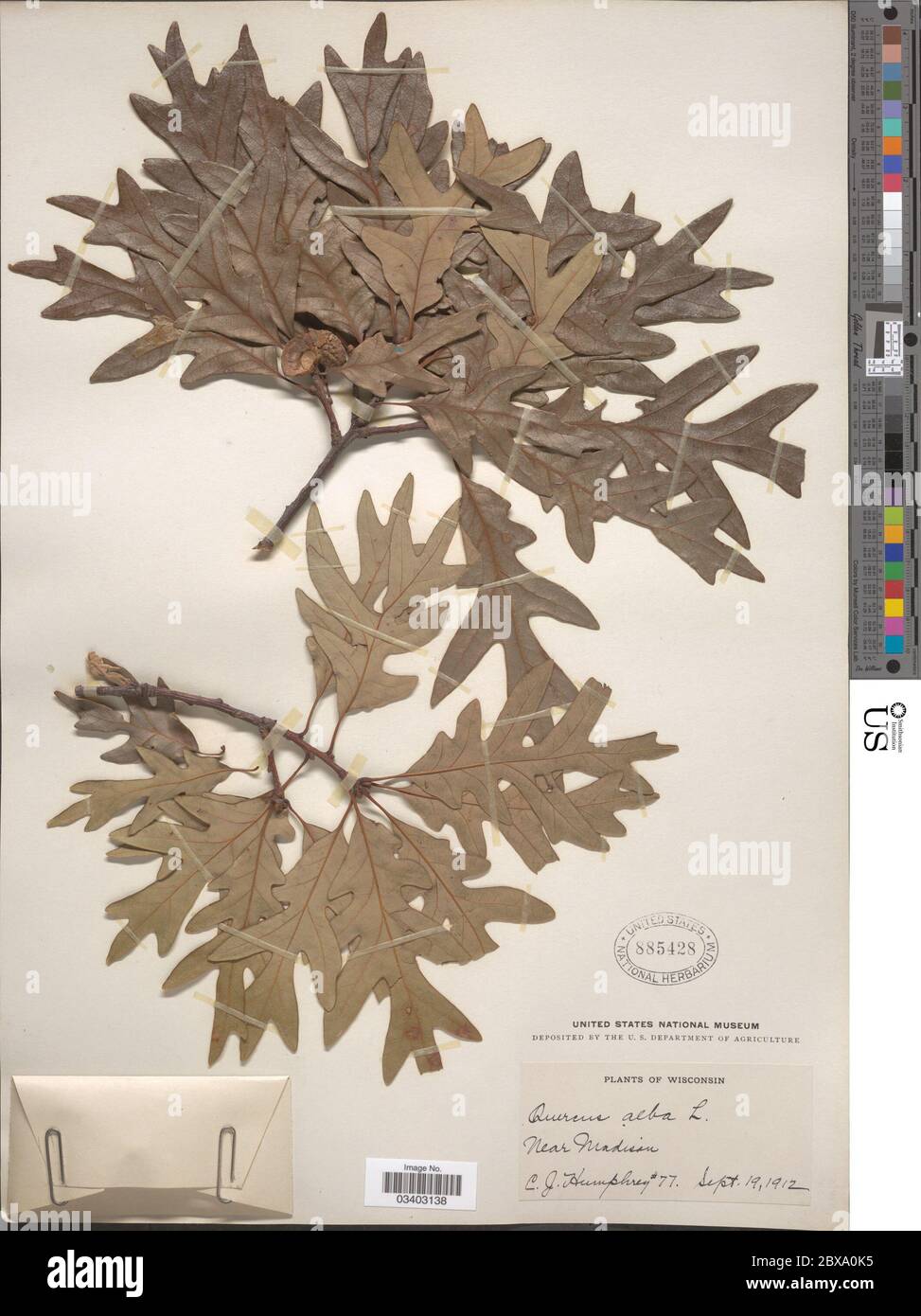 Recorded timber hi-res stock photography and images - Alamy