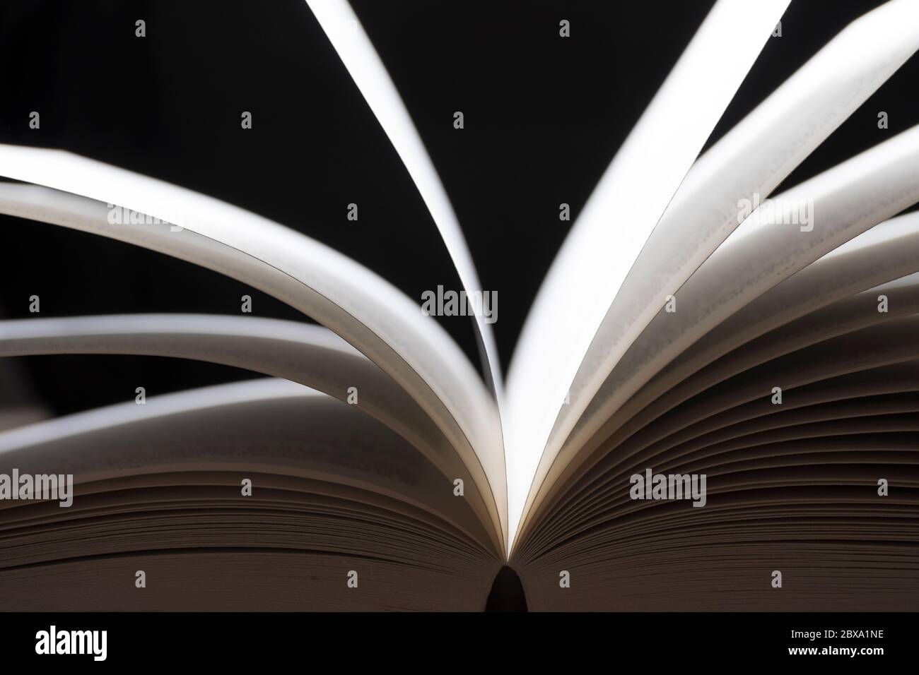 Open book with browsing pages, narrow depth of field on black ...