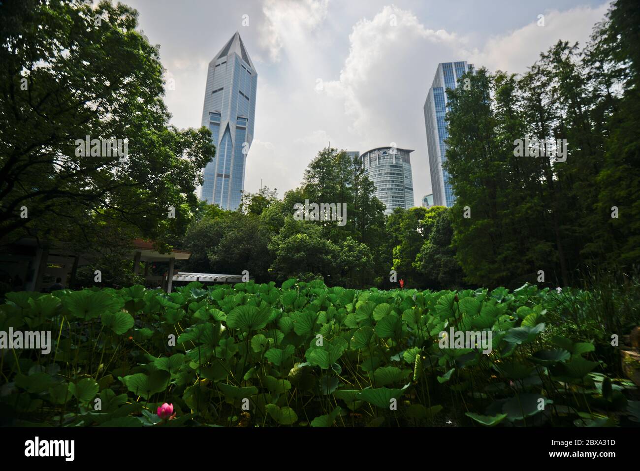 Shanghai square hi-res stock photography and images - Alamy