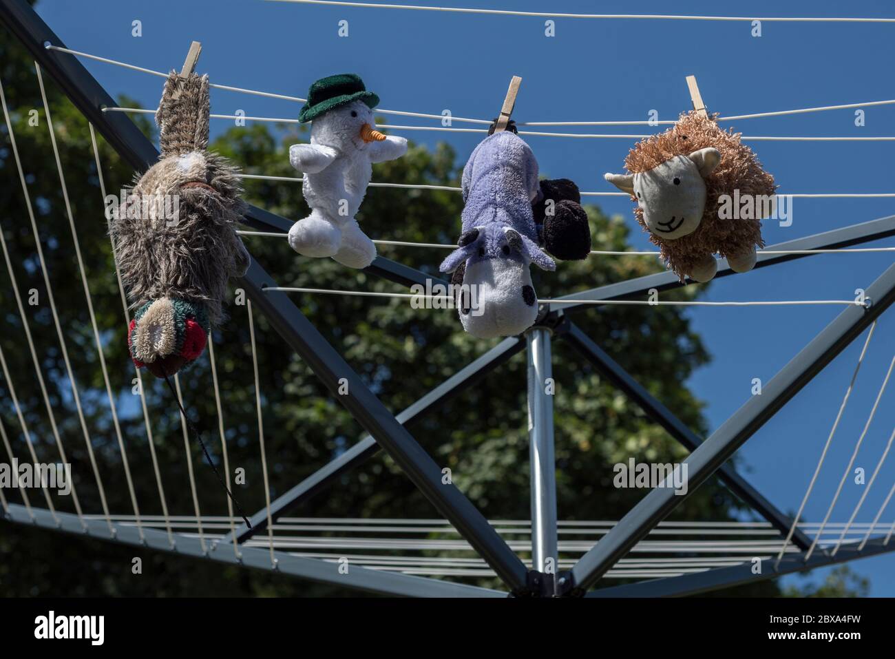 Well loved pet dog toys recently washed and hung out to dry on a rotary ...