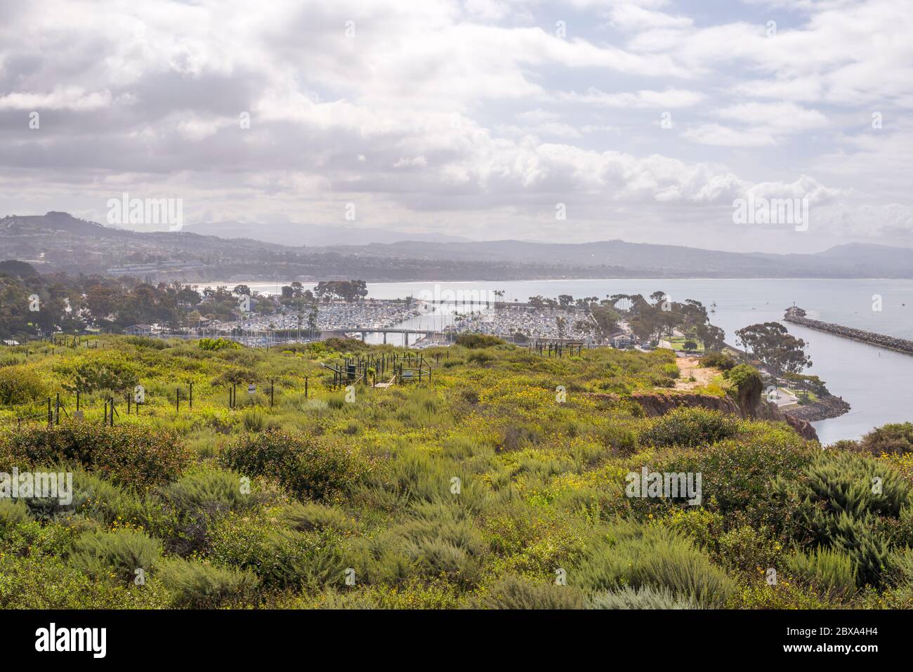 Beauty point marina hi-res stock photography and images - Alamy