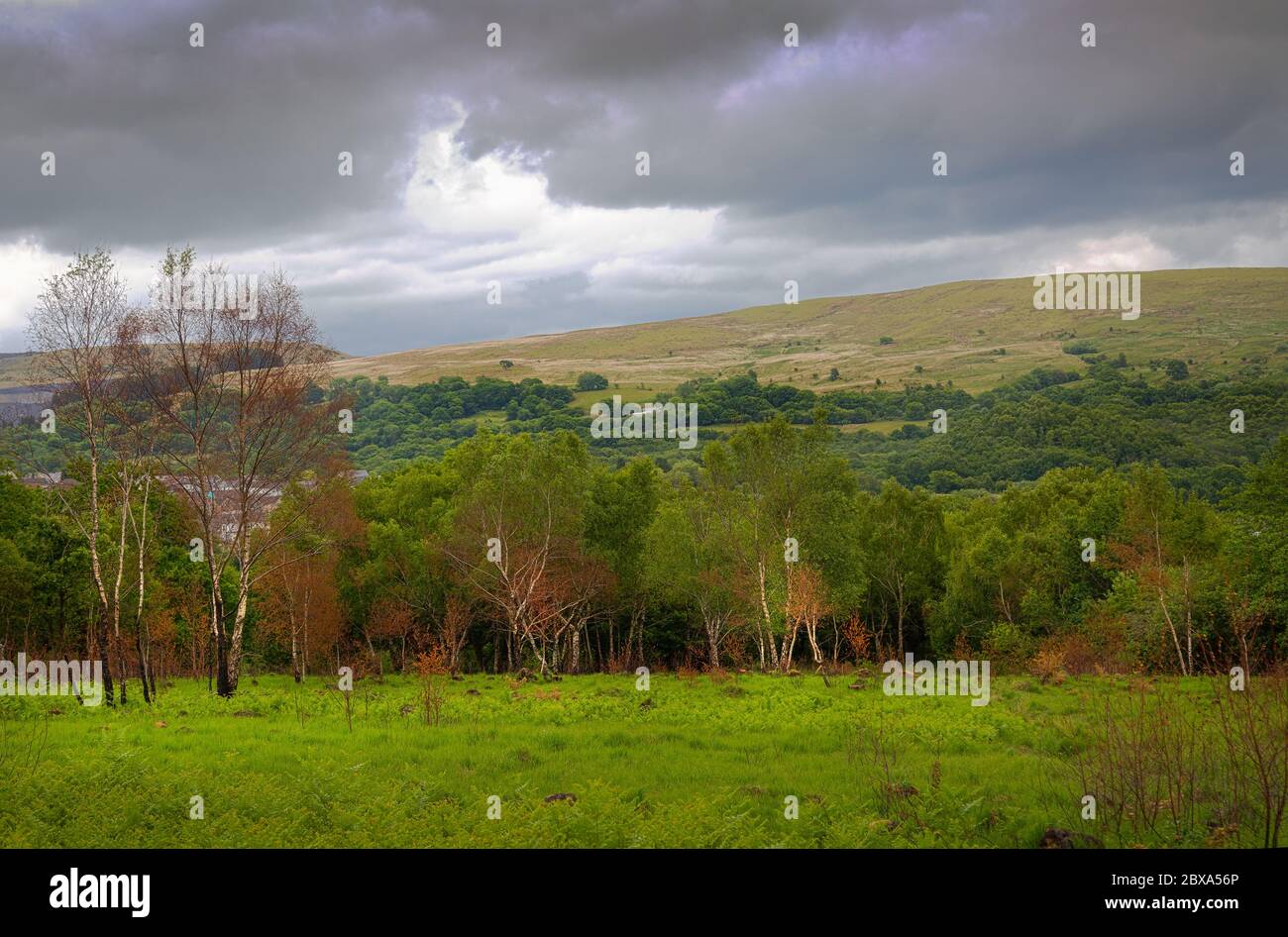 Ystradgynlais hi-res stock photography and images - Alamy
