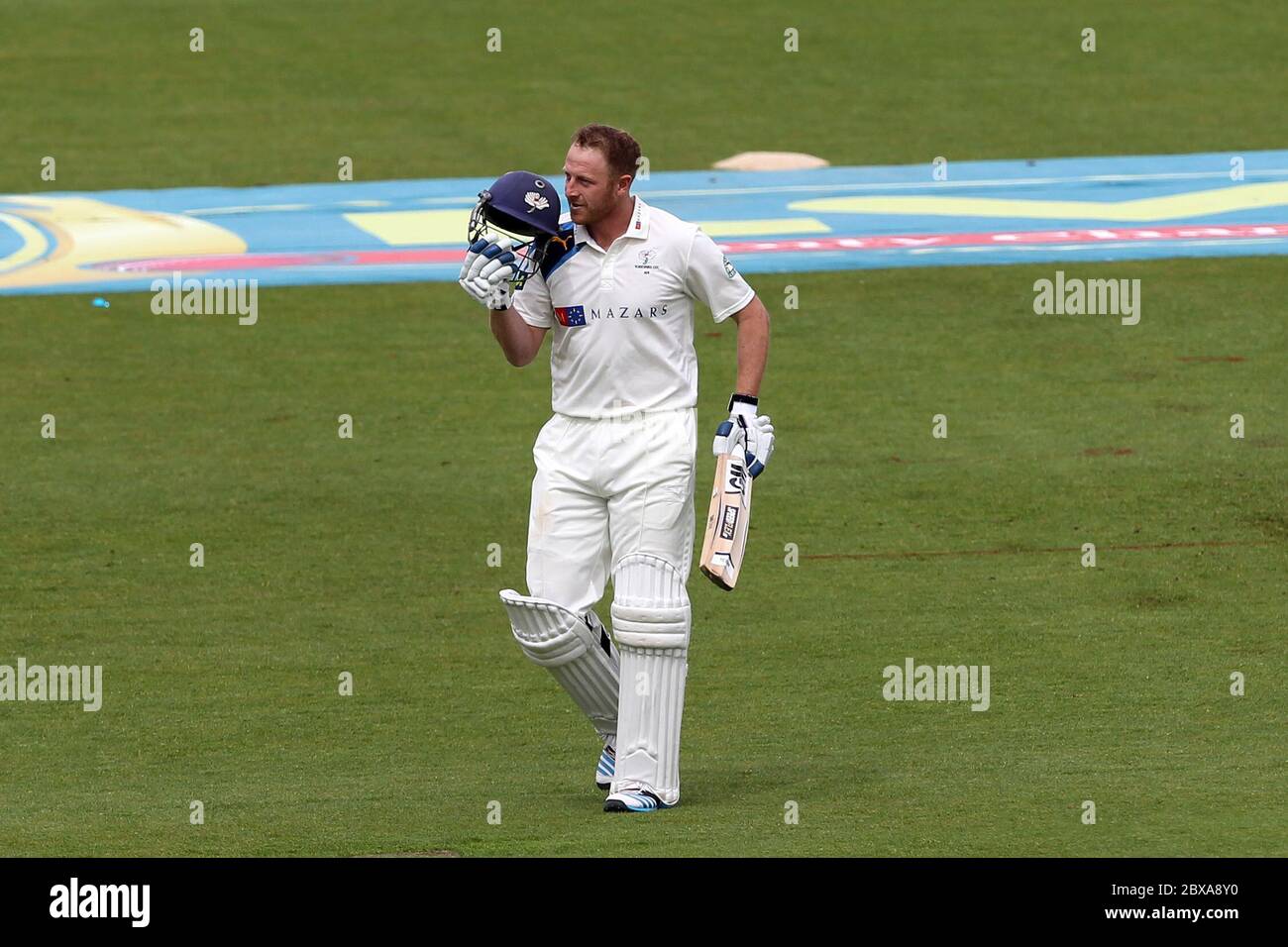 Cricket gale hi-res stock photography and images - Alamy