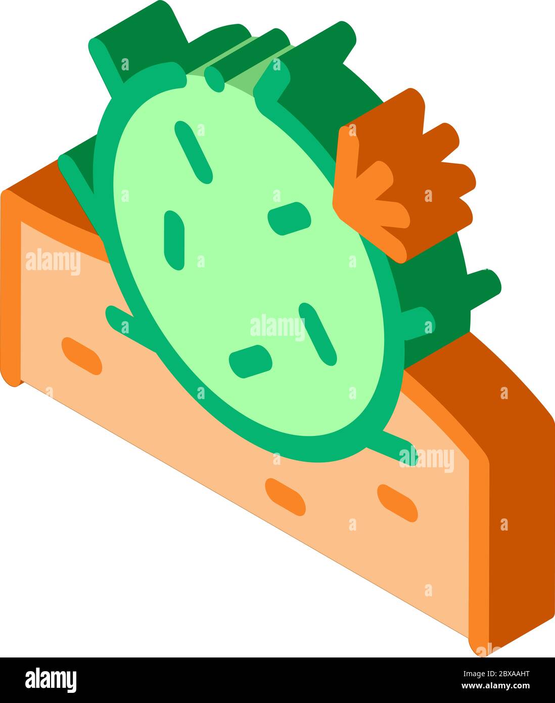 Cactus isometric icon vector illustration Stock Vector Image & Art - Alamy