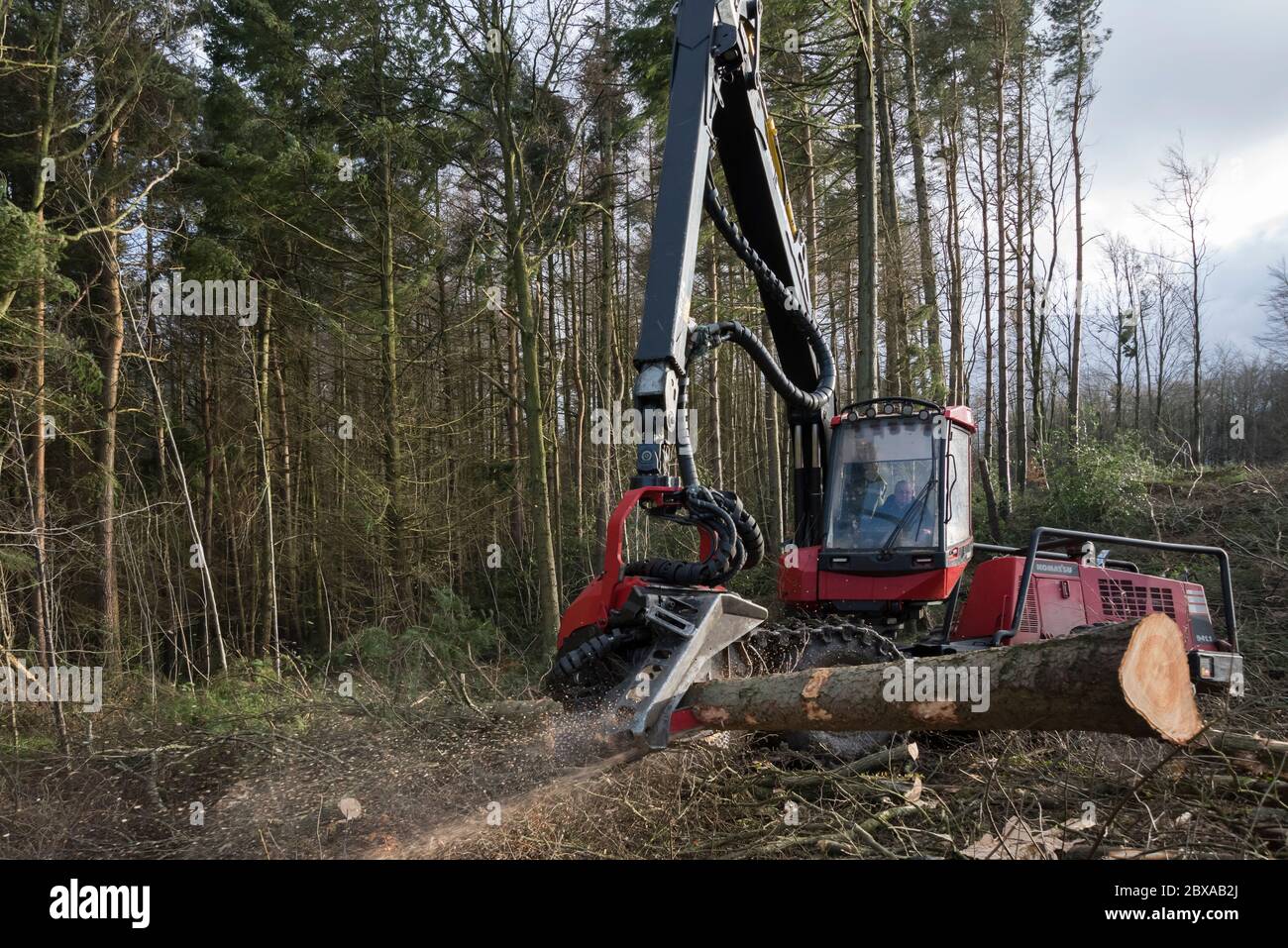 Logging machine hi-res stock photography and images - Alamy