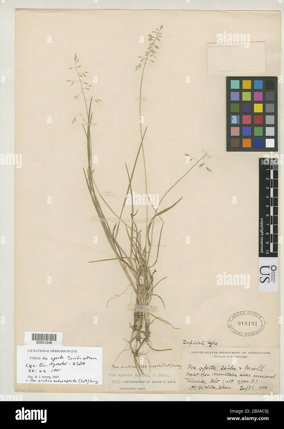 Scribn hi-res stock photography and images - Alamy