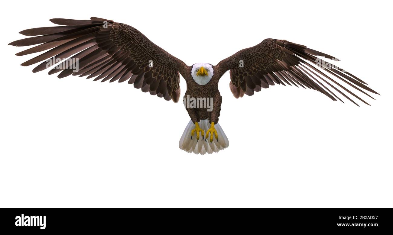 Eagle Landing Front View