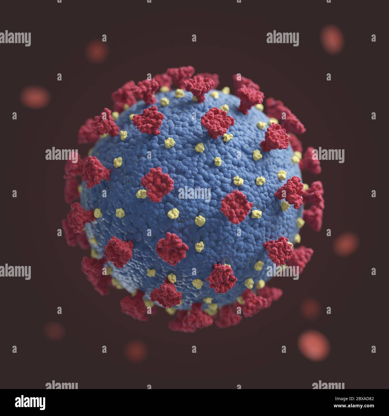 Miscroscope under microscope hi-res stock photography and images - Alamy