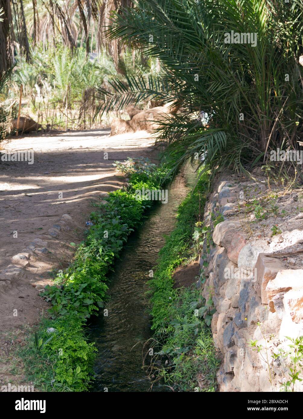 Irrigation canal in the oasis of Tiout, near Tarudant, Morocco Stock ...