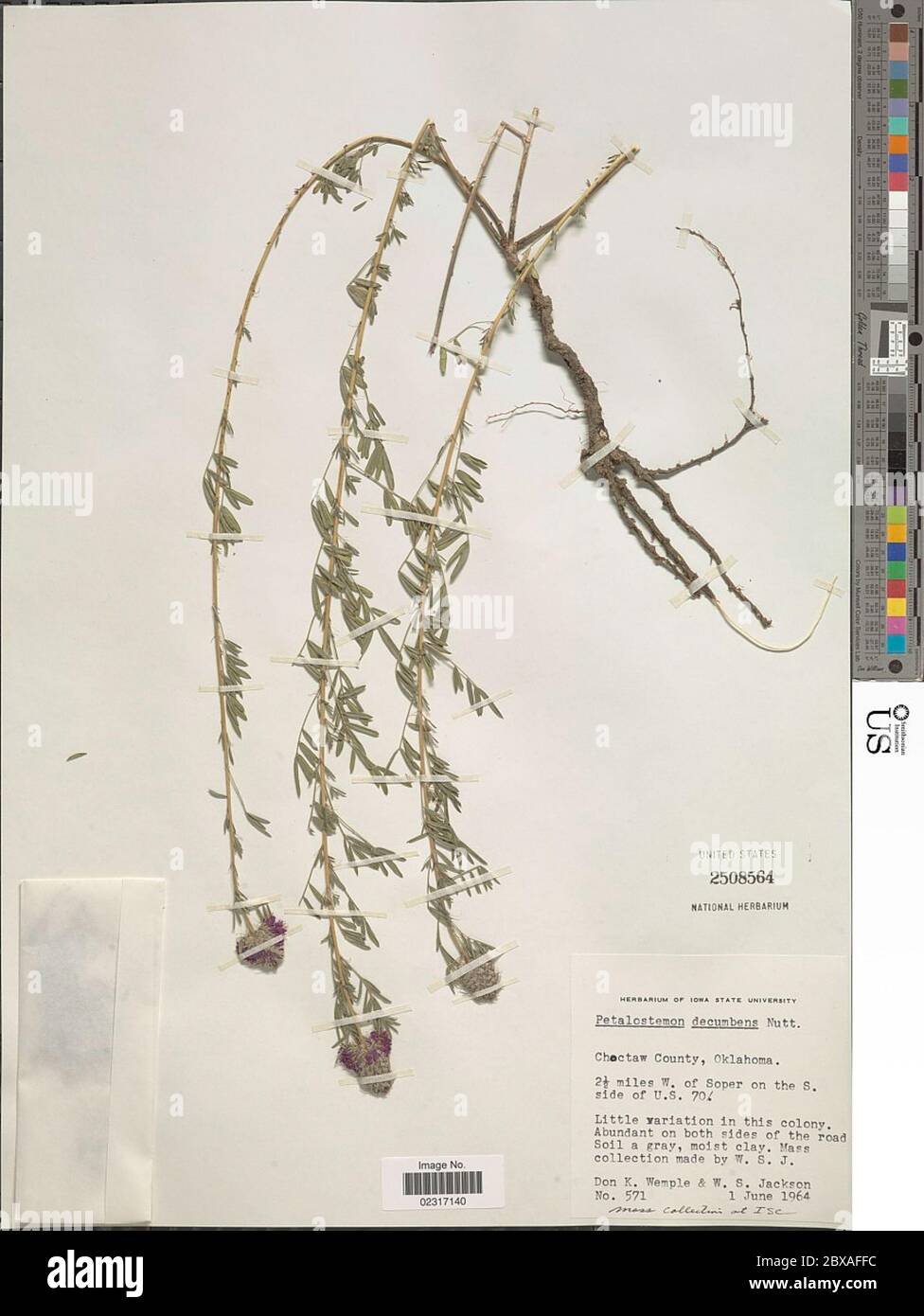 Var compacta hi-res stock photography and images - Alamy