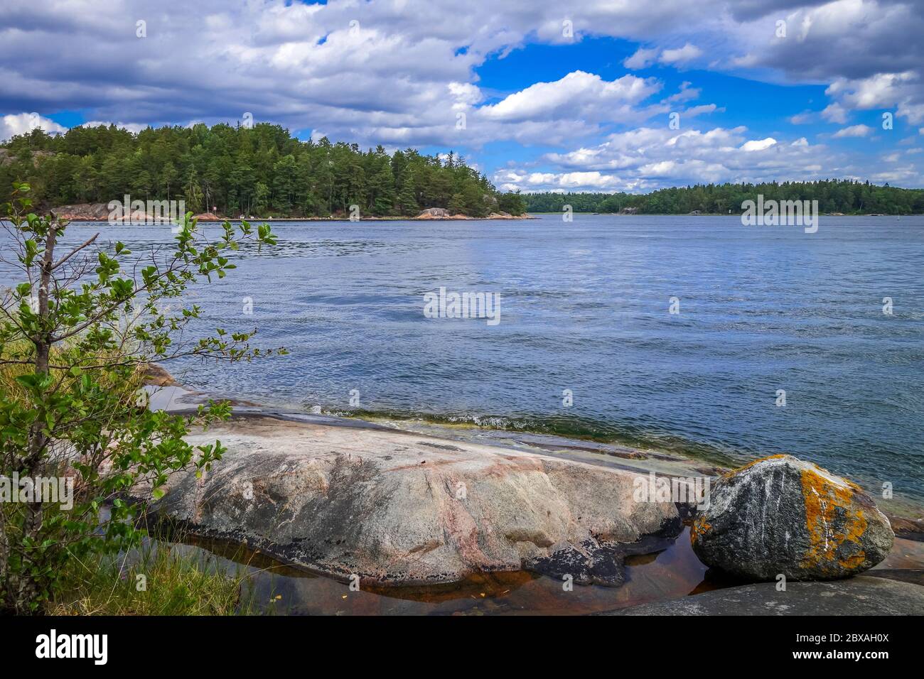 Island landscape in Stockholm archipelago, Sweden Stock Photo - Alamy
