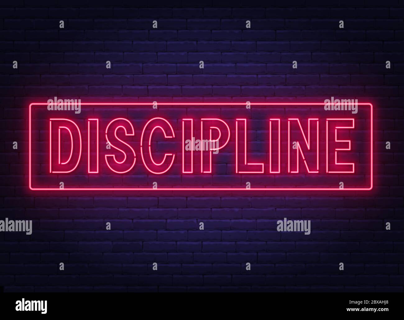 Discipline neon sign on dark background. Vector illustration Stock ...