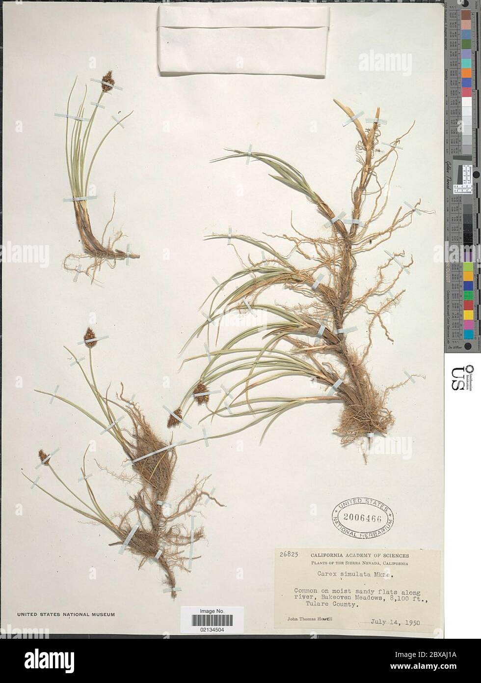 Simulata hi-res stock photography and images - Alamy