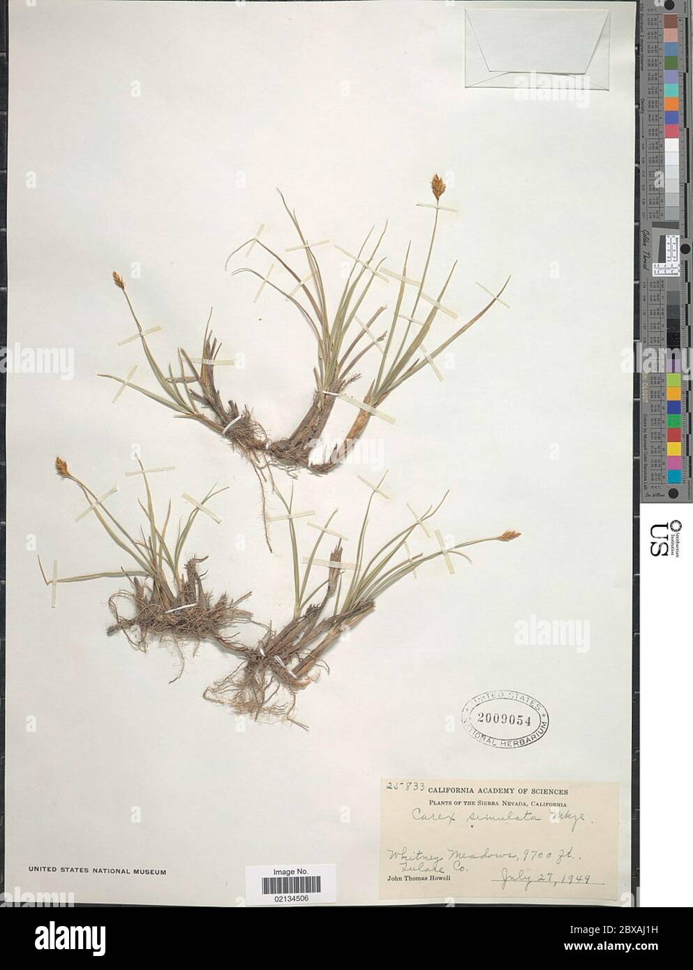 Simulata hi-res stock photography and images - Alamy