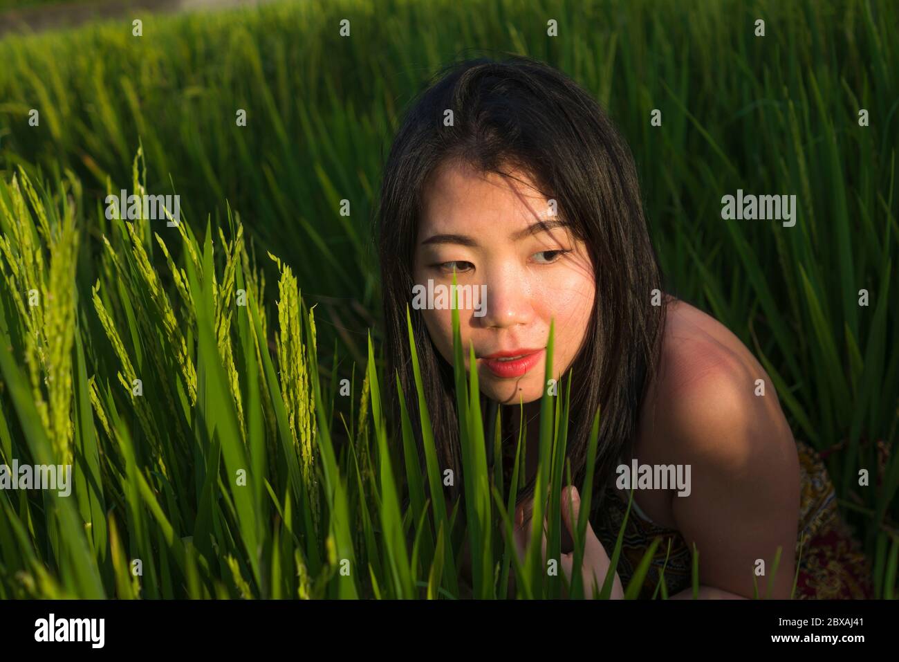 young happy and beautiful Asian woman enjoying nature at rice field ...