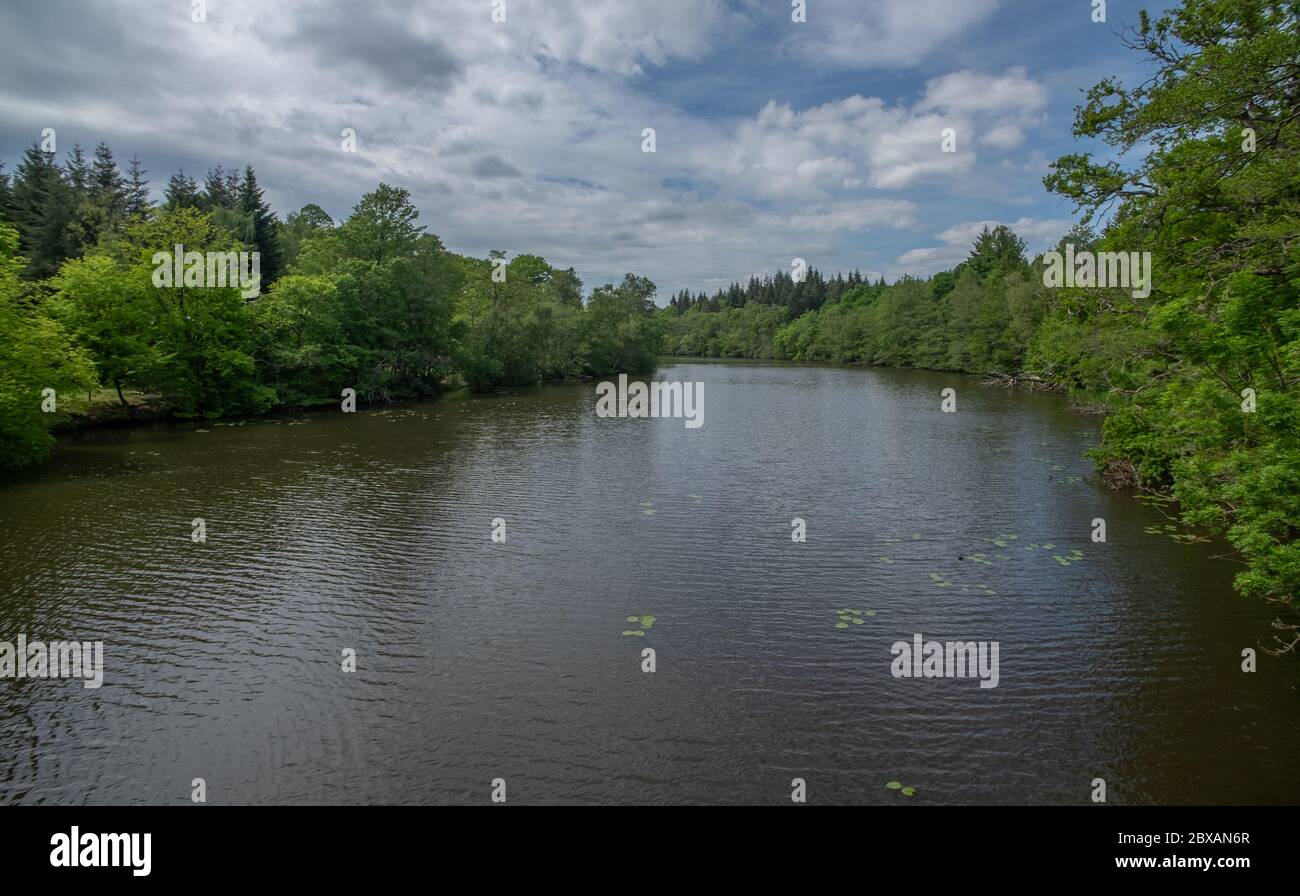 Virginia Water Lake and surrounding Windsor Great Park In Surrey UK ...