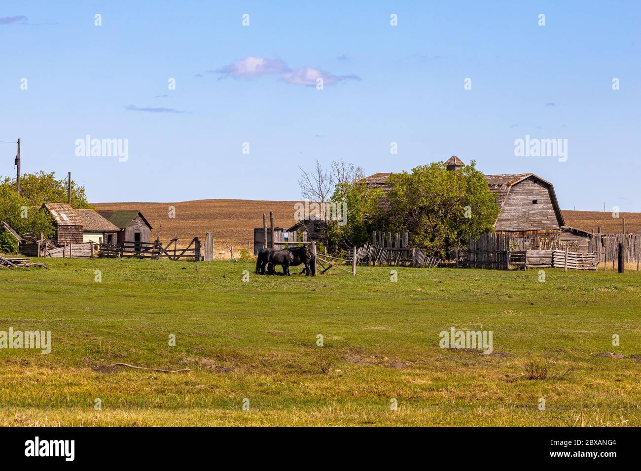 Old farm houses and barns found throughout the prairies of Saskatchewan ...