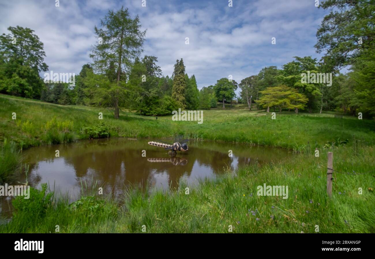 Virginia Water Lake and surrounding Windsor Great Park In Surrey UK ...