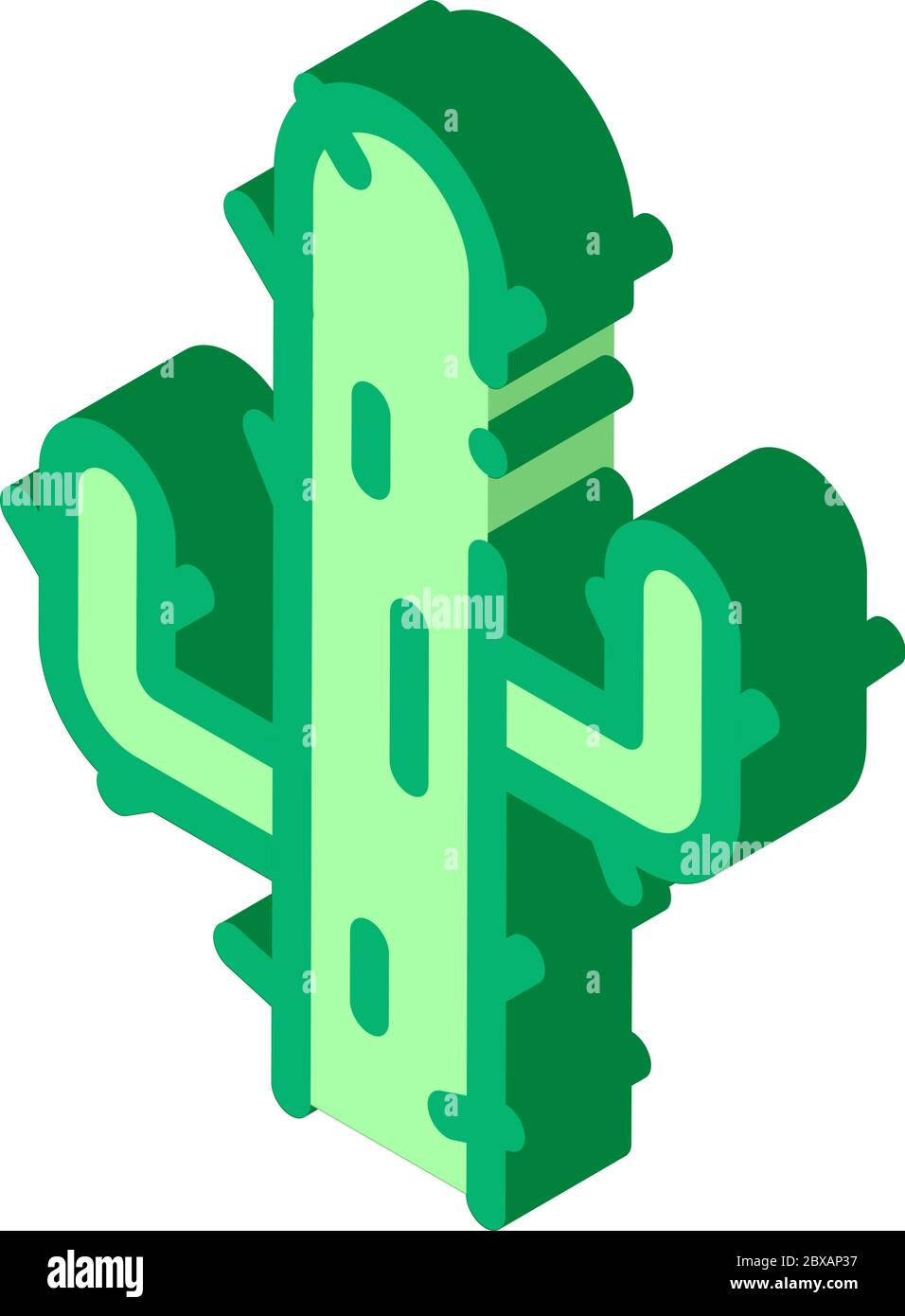 Cactus isometric icon vector illustration Stock Vector Image & Art - Alamy