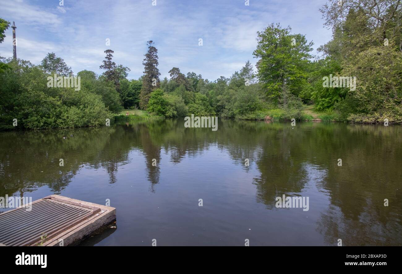 Virginia Water Lake and surrounding Windsor Great Park In Surrey UK ...