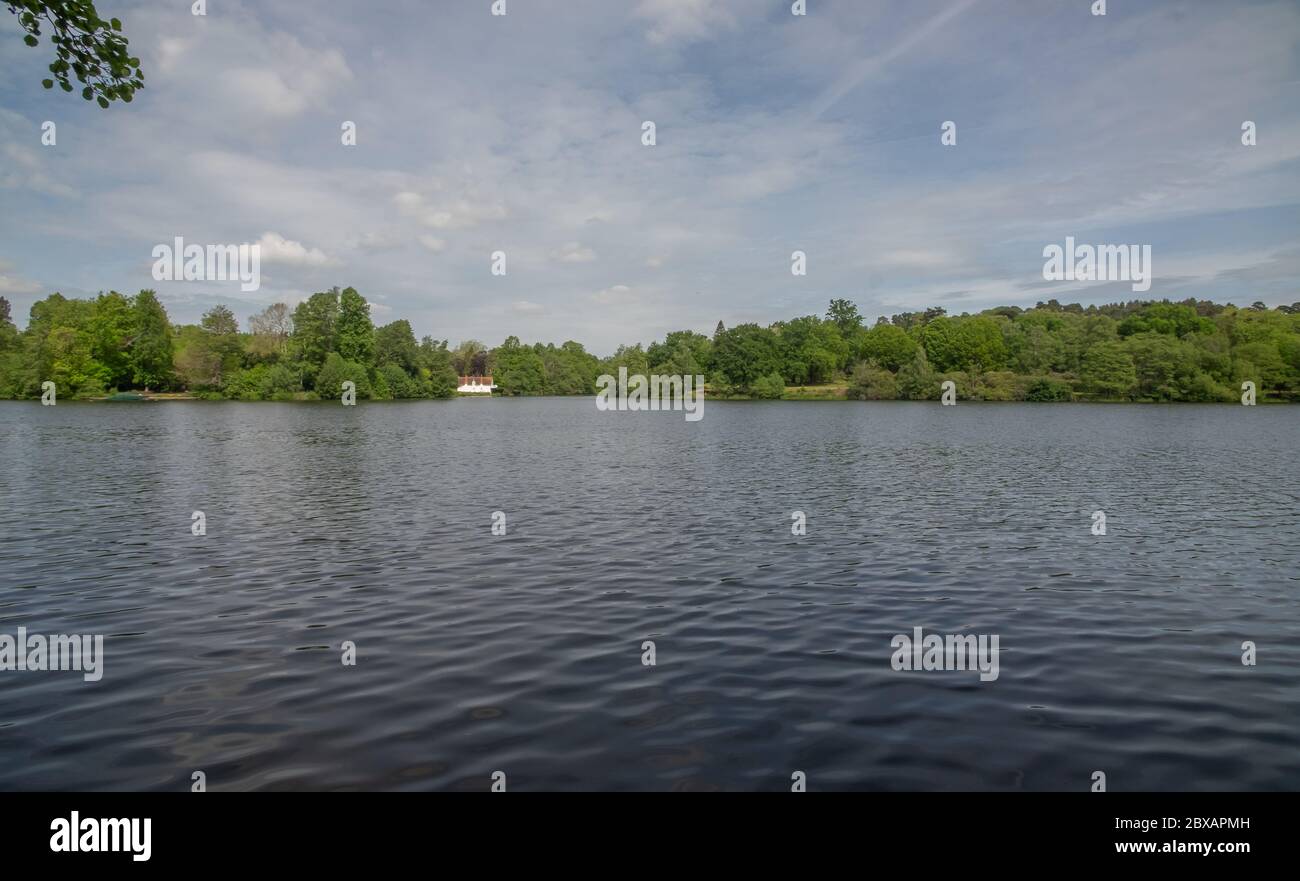 Virginia Water Lake and surrounding Windsor Great Park In Surrey UK ...