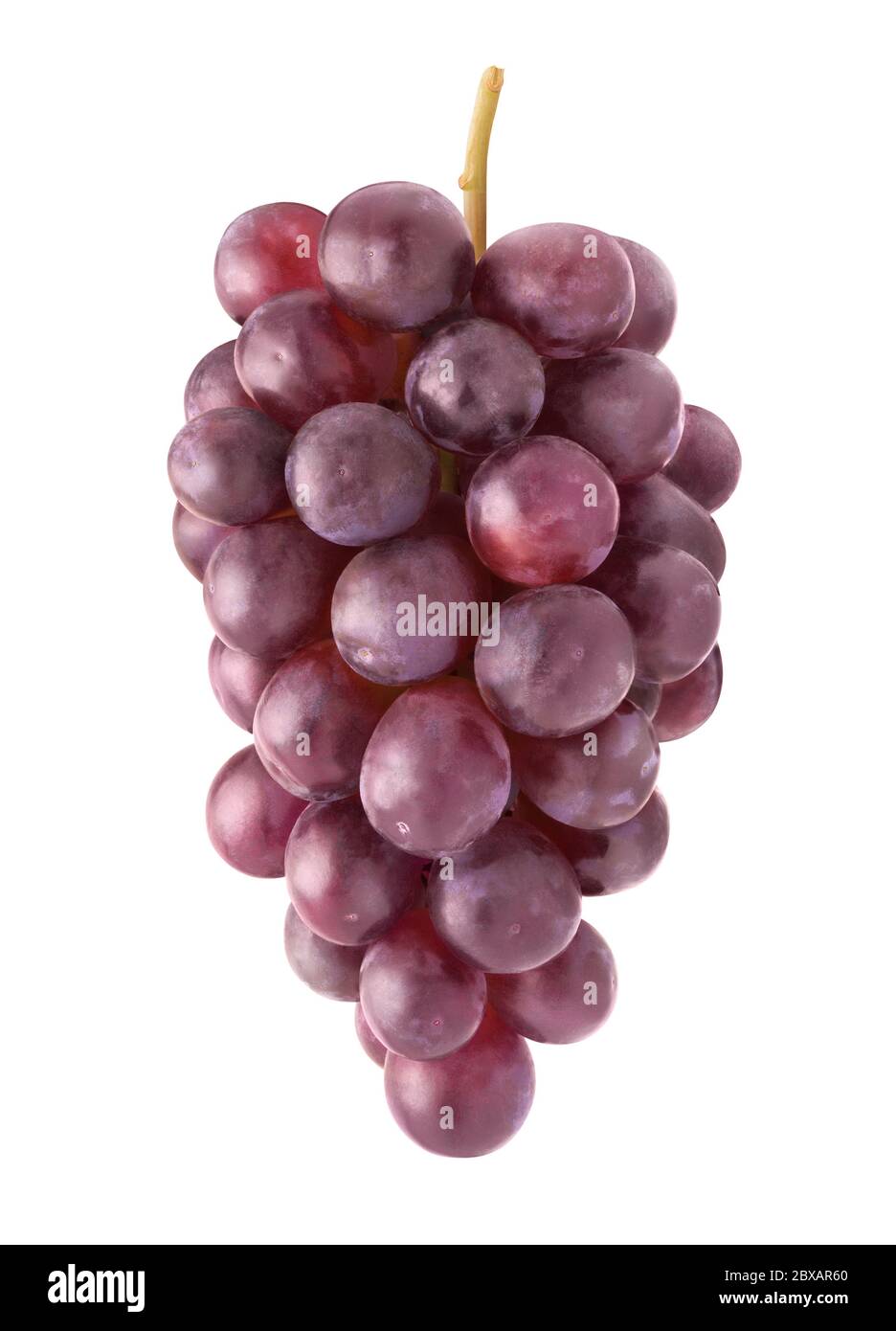 Hanging cluster of red grapes isolated on white background Stock Photo ...